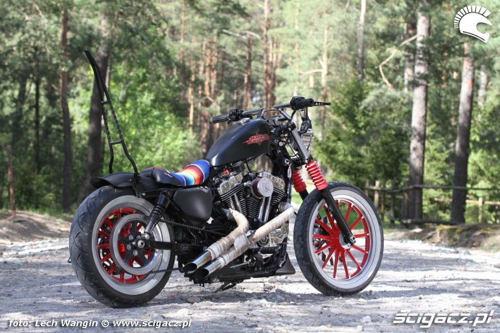 Zdjęcia: 18 Custom Hell Ride Harley Davidson Sportster - H D Sportster ...